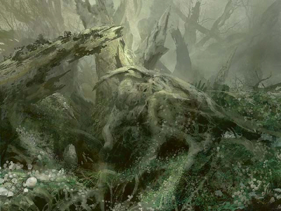 The forest realm of Meledrian